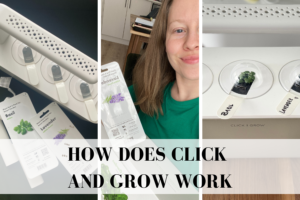 How Does Click and Grow Work [2026]: Smart Indoor Garden Honest Review